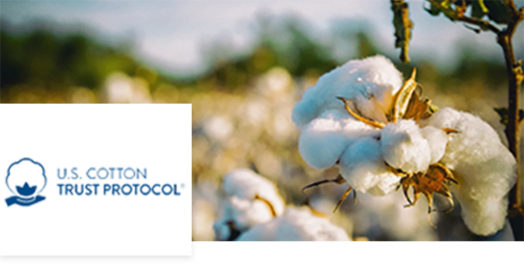 Cone Denim | Sustainability: Sustainable Cotton, Fibers, Dyes, Processes